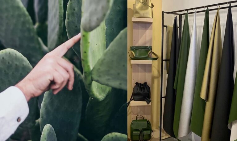 DESSERTO: Una alternativa ecológica para la moda basada en nopal ...